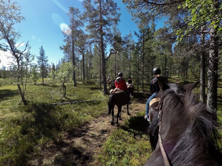 What is there to do in Sweden in the summer? | Let's go somewhere