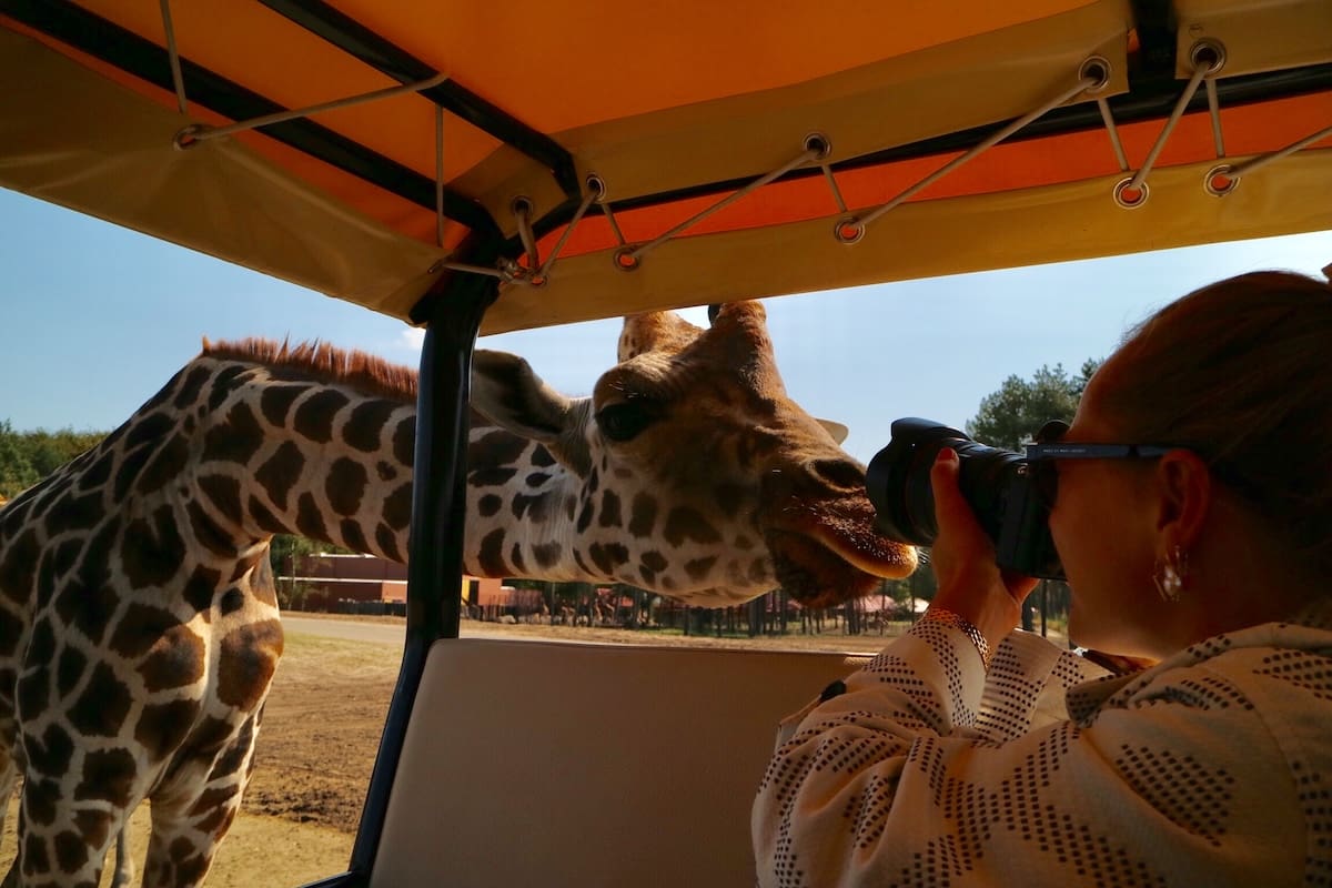 Safari Resort Beekse Bergen | Onze ervaringen in een review | Let's go somewhere