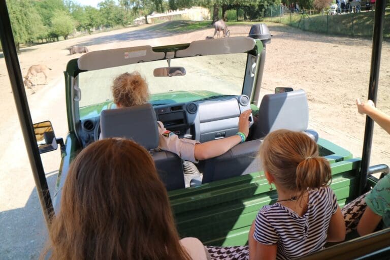 Safari Resort Beekse Bergen | Onze ervaringen in een review | Let's go somewhere